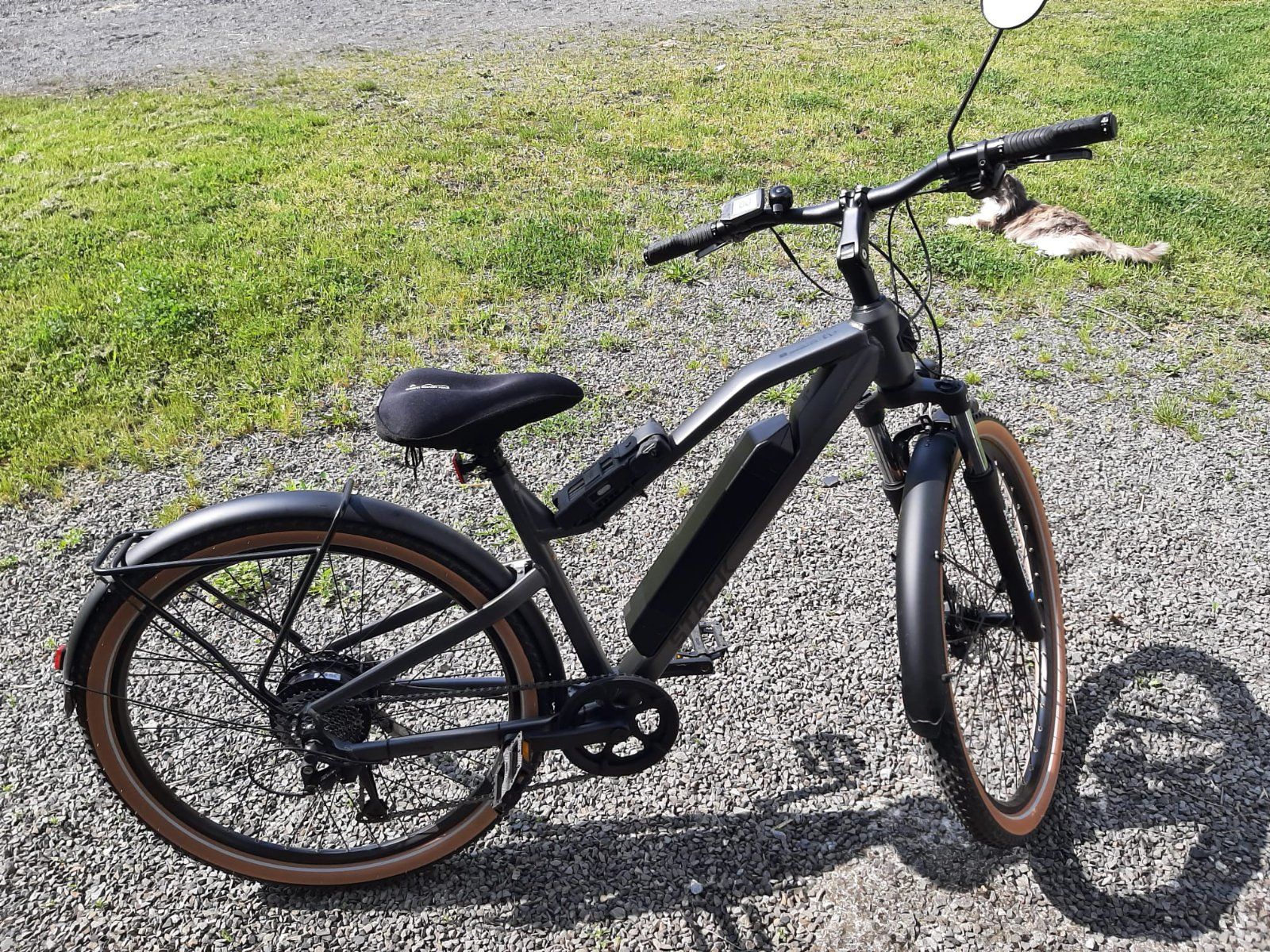 PROPHETE 29 Zoll Stack Sport E-SUV Bike - EdelKüche